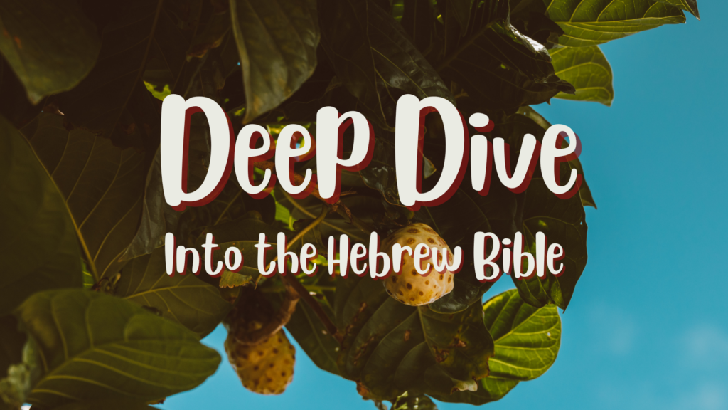Deep Dive into the Old Testament - Crestwood Vineyard